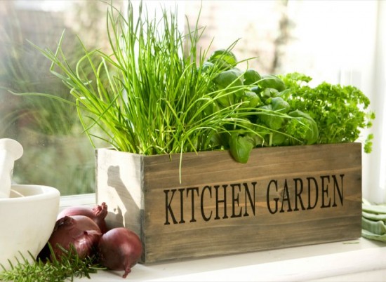 A Step By Step Guide For An Indoor Herb Garden - Indoor Herb Garden